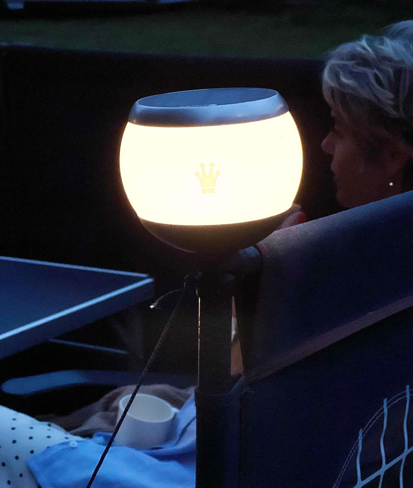 Isabella Solar Light (2 Lamps) | Torches and Battery Lanterns ...